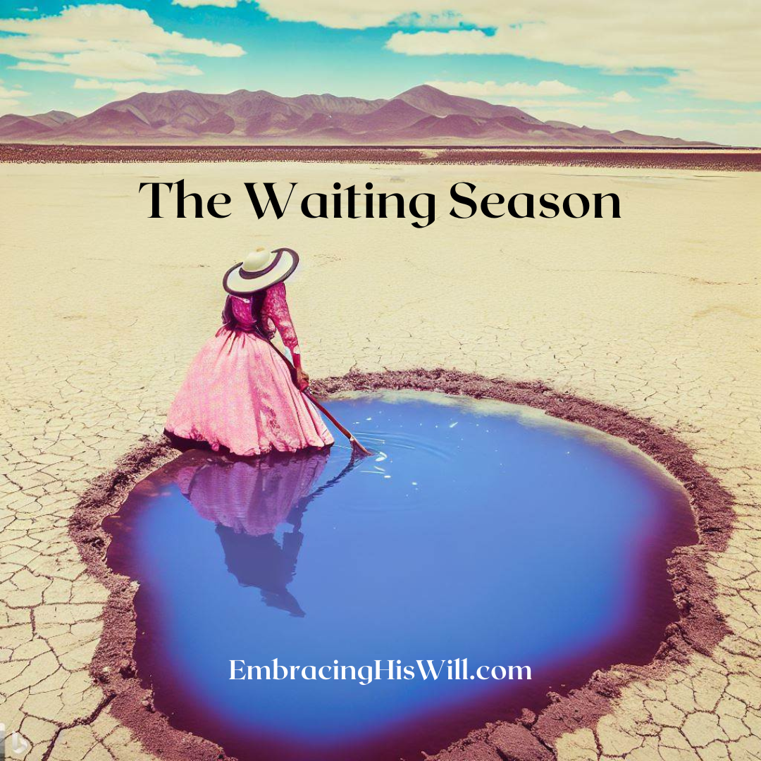 The Waiting Season – Embracing His Will